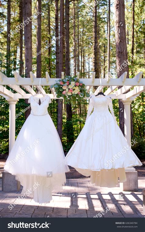 Same Sex Wedding Dresses Stock Photo Shutterstock