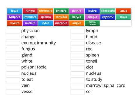Combining Forms Match Up