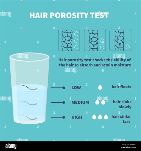 Hair Porosity Water Float Test Infographics Poster Stock Vector Image