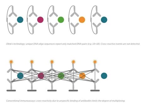 Axial On Linkedin Olink Proteomics Founded In 2004 Out Of Uppsala Sweden To Build A…