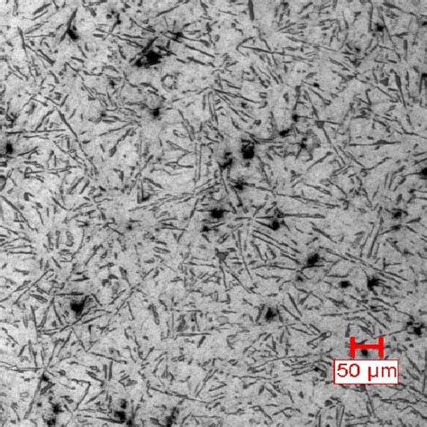 Microstructure Of Chilled Ni Mmc Containing 9 Wt Reinforcement Download Scientific Diagram