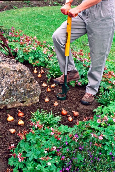 11 Bulb Garden Design Ideas To Show Off Spectacular Flowers