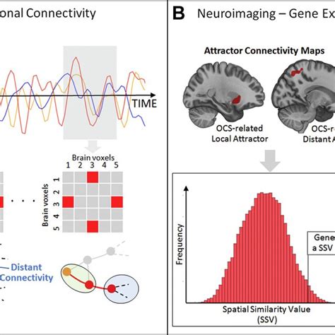 neuroimaging gene expression interaction analysis a dynamic