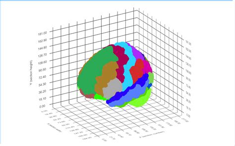 qute brain browser 3d multi modal voxel based image viewer page 2 of 2 brain imaging