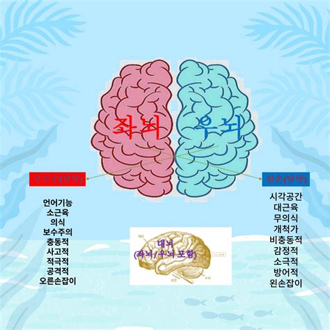 좌뇌 우뇌 기능 시보드