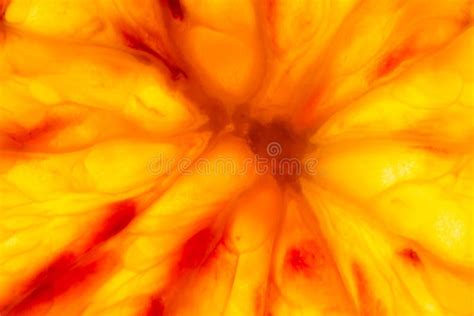 Sicilian Citrus Symphony Macro Slice Of Backlit Orange With Red Hues