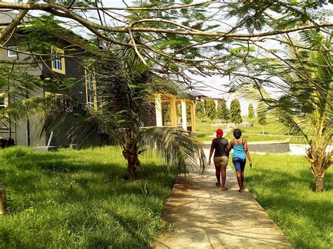 Arthur Jarvis University Nucis