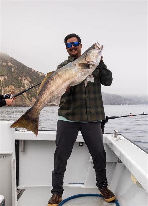 Team — Executive Yachts So Cal Sport Fishing Boats And Luxury Yacht Sales