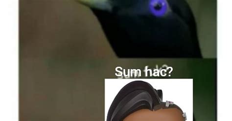 You Want See Description Album On Imgur