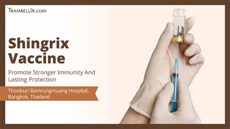 Shingrix Vaccine Promote Stronger Immunity And Lasting Protection Trambellir