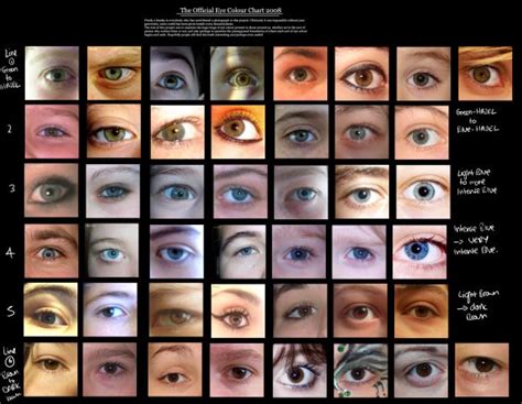 Human Eye Colour Chart By Delpigeon Eye Color Chart Eye Color Chart