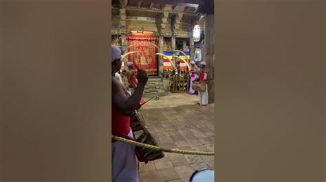 දළදා මාලිගාවේ කරඩුව බලන්න🙏🏻🙏🏻🙏🏻🙏🏻 Srilanka Daladamaligawa 🙏🏻 Youtube