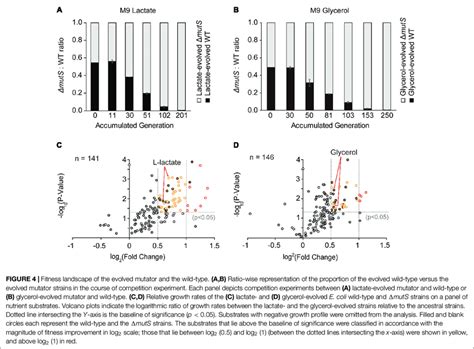 Whole Genome Resequencing Analysis Of Ale Experiments Dynamic Download Scientific Diagram