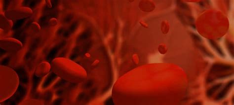 Hemogram Tam Kan Sayımı Nedir Normal Değerleri Düşüklüğü Ve