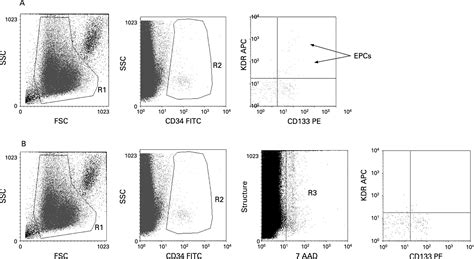 Eular Scleroderma Trials And Research Group Statement And Recommendations On Endothelial