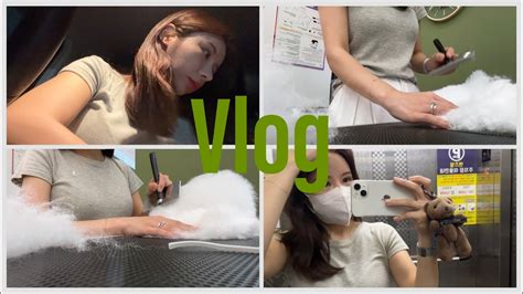 백수 Vlog 8년 경력 회사원 때려치고 서른한살에 애견 미용사 도전 애견미용학원 반려견스타일리스트 반려견미용 빽다방 일상 브이로그 Youtube