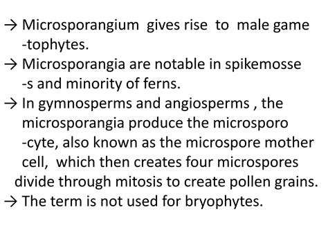 Microsporangium Pptx