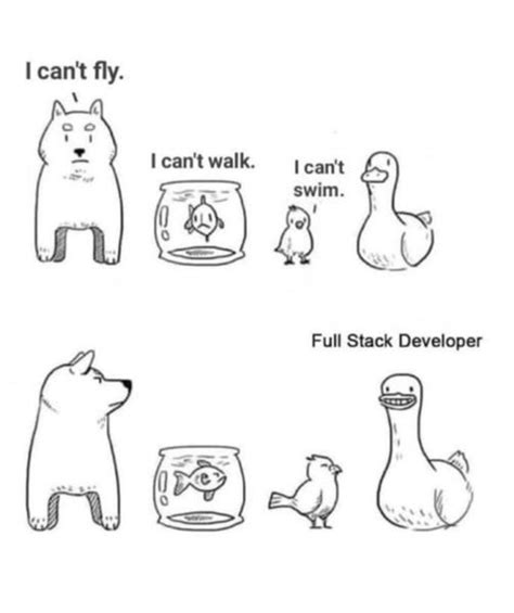 Softwaredeveloper Programmingmemes Careerhak Careerhak