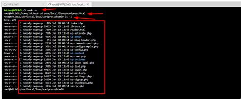 Cara Cek Directory File Document Root Vps Wordpress App Catalog