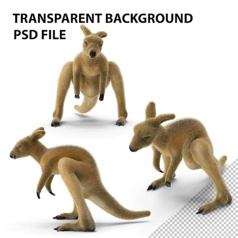 Kangaroo 3d Modeling Images Free Download On Freepik