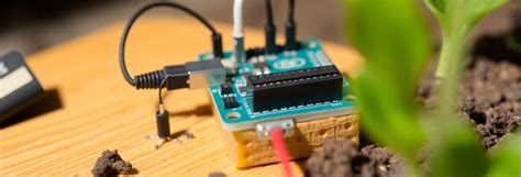 Arduino Dht11 And Soil Moisture Sensors Quiz