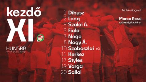 공홈 헝가리 Vs 세르비아 라인업 축구 소식통 에펨코리아