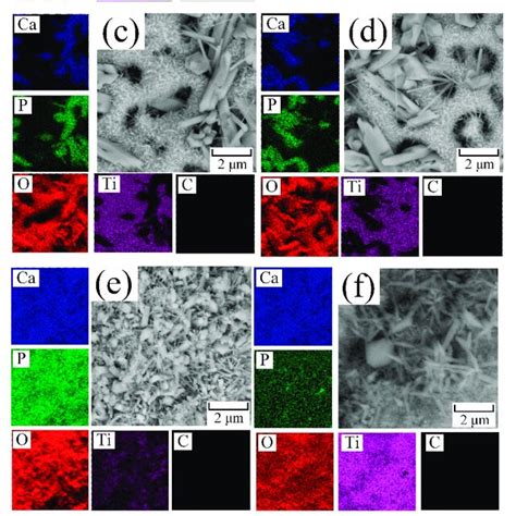 Xrd Phase Composition Obtained By Rietveld Refinement Method Download Scientific Diagram