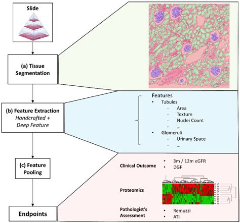 Overview Of The Framework This Figure Shows An Overview Of The