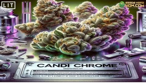 Candi Chrome Strain Review Cannabis Effects And Flavor