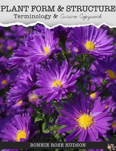 Plant Form And Structure Terminology And Cursive Copywork By Writebonnierose