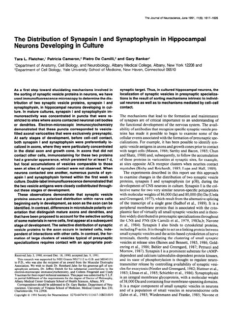 Pdf The Distribution Of Synapsin I And Synaptophysin In Hippocampal