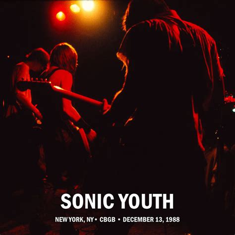 Sonic Youth Live Cbgbs 1988 Pequenos ClÁssicos Perdidos