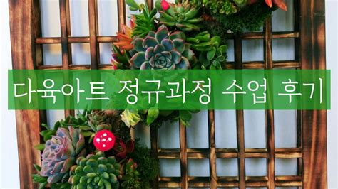 다육아트 정규과정 클래스 후기 Succulent다육이모듬심기한국다육아트협회민간자격증발급기관반려식물다육이붙는흙넬솔
