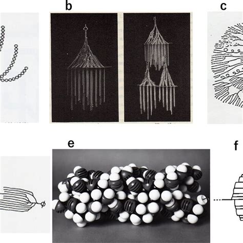 Representation Of Structural Features Of Amylopectin Proposed And Download Scientific Diagram