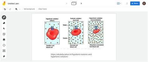 Solveddistinguish Between Hypertonic Hypotonic And Isotonic Solutions P 63