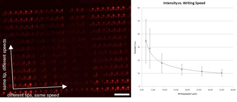 Figure S3 Lithographic Pattern For Measurement Of Ink Transfer Left