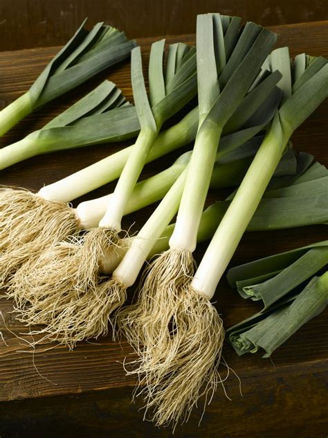 Downloads And Press Resources British Leeks