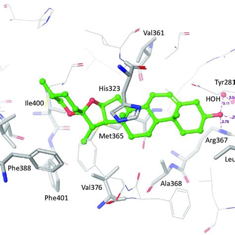 Predicted Binding Mode Of Diosgenin Green Carbon Atoms In The Rorγ