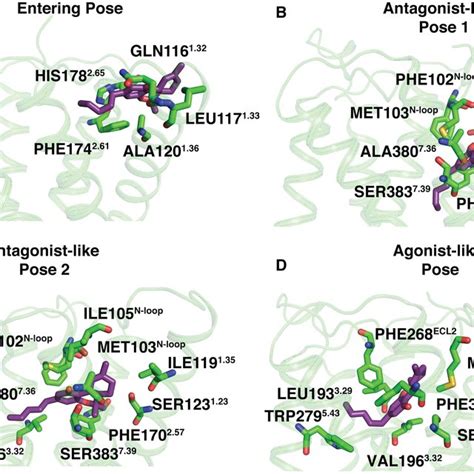 2d And 3d Representation Of Thc Structure Numbering Of Carbon Atoms