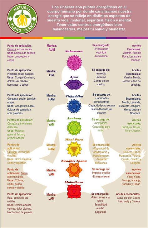 Aceites Esenciales Para Equilibrar Tus 7 Chakras Artofit