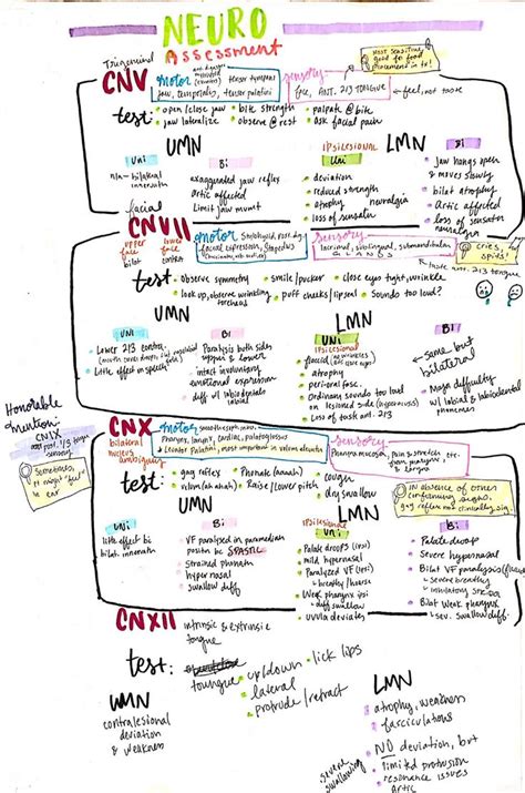 Motor Dysphagia Notes Speech Therapy Materials Speech Therapy Tools Speech Language