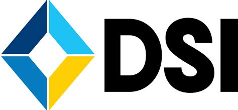 Dsi Logo