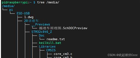 udev的rules编写 udev rules csdn博客