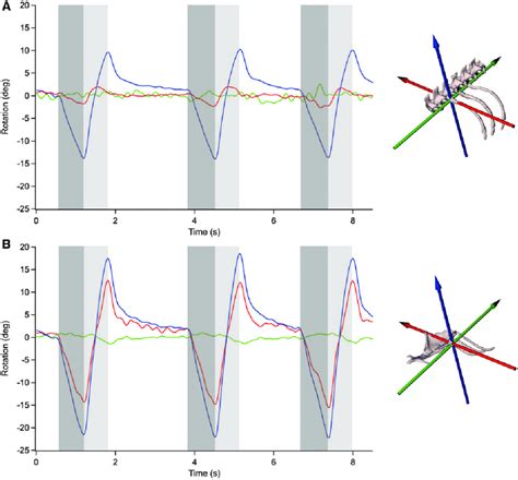 Euler Angle Rotations During Deep Breaths For Costovertebral And