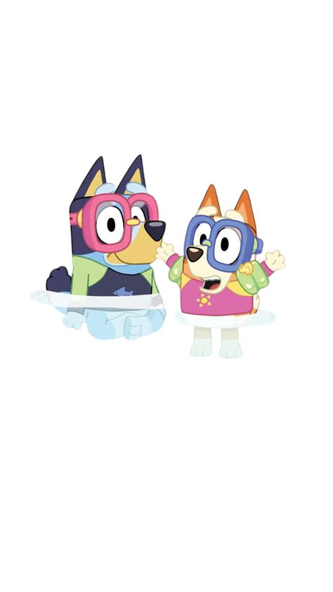Bluey Y Bingo Verano Fiesta De Spa Para Niños Tarjetas De Cumpleaños