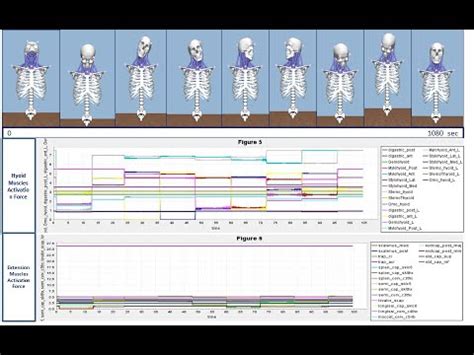 Basic Movements Generated By Using OpenSim Simulation Platform YouTube