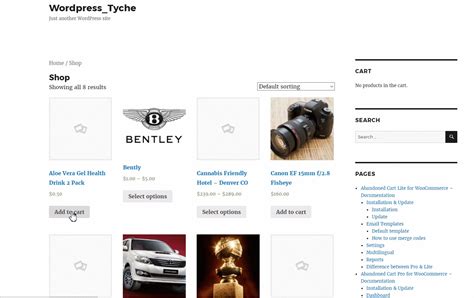 differences between pro and lite versions tyche softwares documentation