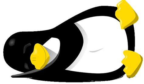 How To Install Linux Kernel On Ubuntu LTS LinuxBabe