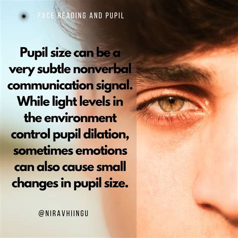 nirav hiingu on linkedin pupil size dilation contriction