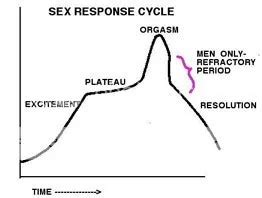 Writing Sex Scenes That Matter LB LI